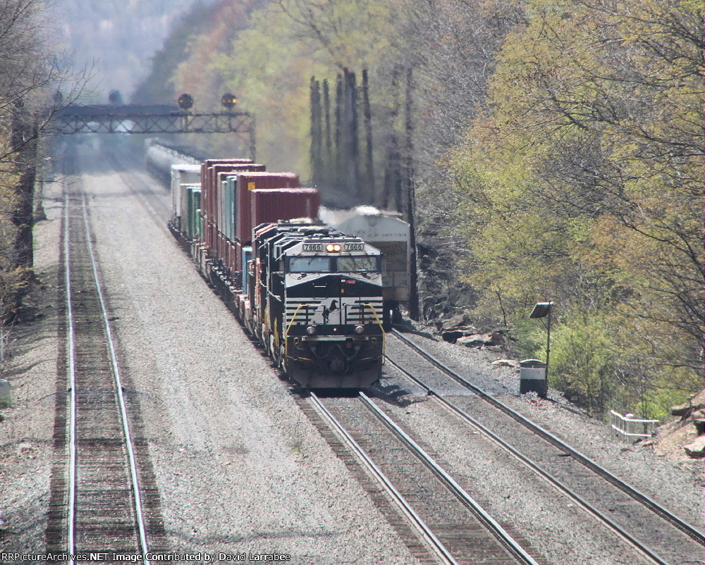 NS 7666 leading 22W
